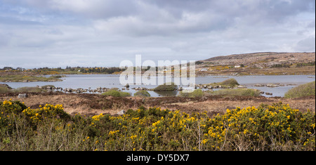Ireland, Co Donegal, Dungloe village, shops and bars in main street ...
