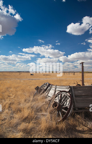 USA, South Dakota, Cactus Flat, Prairie Homestead, antique hay raker ...
