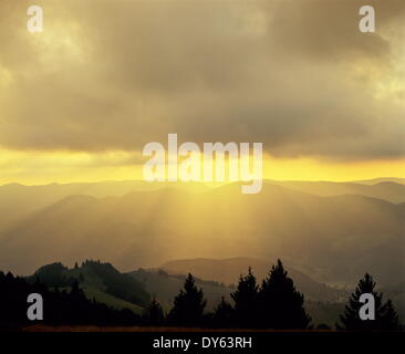 Belchen Mountain, Black Forest, Baden Wurttemberg, Germany, Europe ...