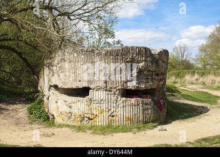 German pillbox on Hill 60 scene of ferocious fighting during WW1 ...