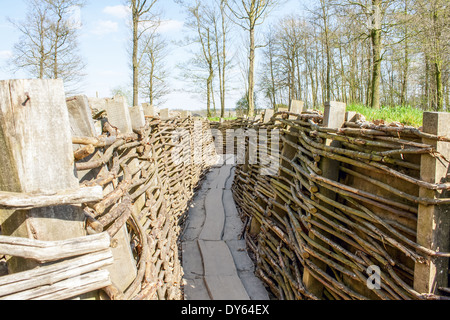 The World War One German 'Bayernwald' trench system near Ypres in ...