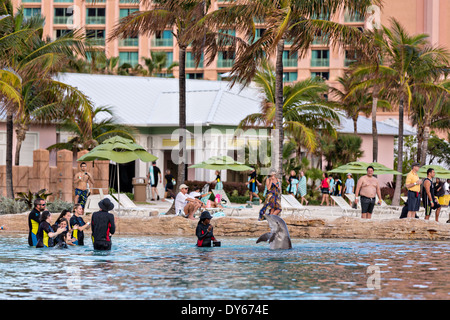 Dolphin Cay at Atlantis resort, Paradise Island, Bahamas Stock Photo ...