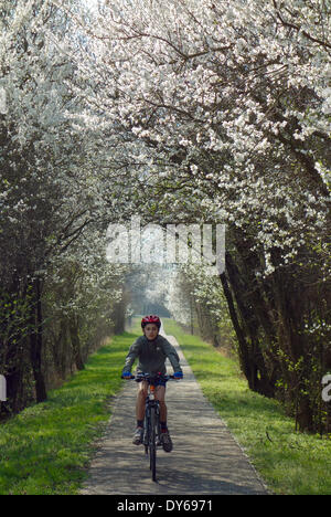 Lietzen, Germany. 30th Mar, 2014. A cyclist goes along the Oderbruch ...