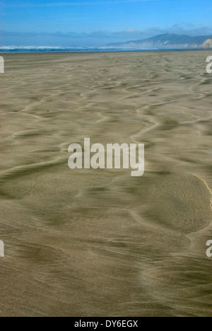 Merchants Beach, Seven Devils State Park, Oregon Stock Photo - Alamy