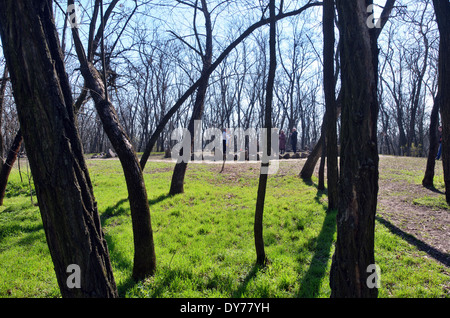 Proto-Slavic pagan rituals in Ukraine. Priest carries fire around the ...