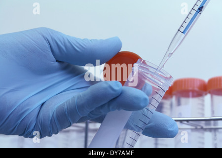 Lab technician takes sample from tube for test, close up, soft focus ...
