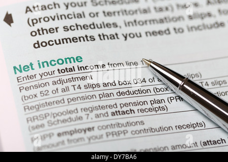 Net income form Stock Photo - Alamy