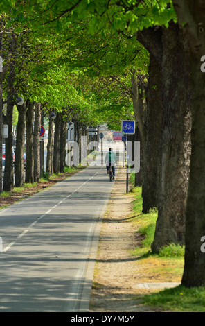 cycle path paths cyclepath cyclepaths bike ride riding segregated foot ...