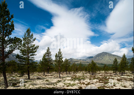 Rondane National Park, Norway Stock Photo - Alamy