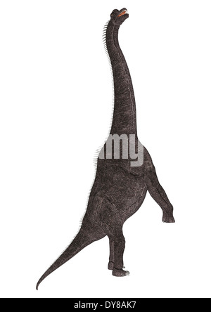 Dinosaur Brachiosaurus standing upright Stock Photo - Alamy