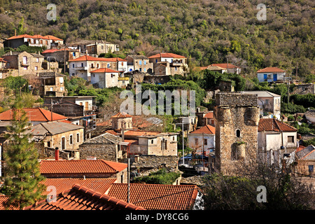 The "towerhouse" of Dourakis, typical example of Maniot architecture ...