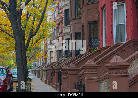 Harlem Row Houses in Autumn, New York City, New York, USA Stock Photo ...