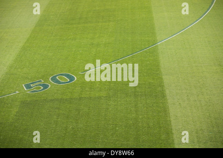 50 metre line at AFL match, Etihad stadium, Melbourne Stock Photo - Alamy