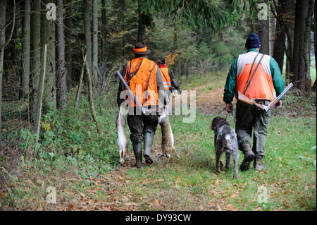 Battue Central Franconia hunt low game hunting Rurally Magyar Vizla ...