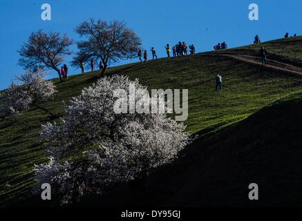 Xinyuan, China's Xinjiang Uygur Autonomous Region. 10th Apr, 2014 ...