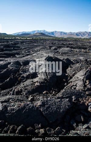 lava tree fossilized formation Craters of the Moon National Monument ...