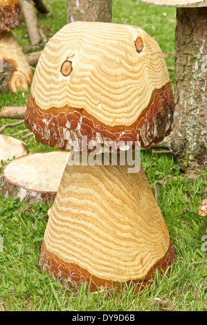 Wooden log with knots Stock Photo - Alamy