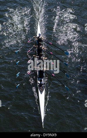 A coxed four rowing shell race on Sydney Harbour shows athletes in ...