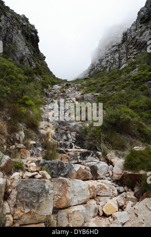 Diagonal hiking trail on Table Mountain with Camps Bay in the ...