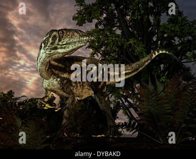 Australovenator wintonensis, a prehistoric era dinosaur from the Early ...