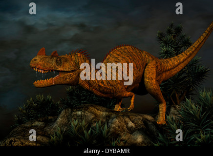 Ceratosaurus, late Jurassic dinosaur, a large predator with blade-like ...