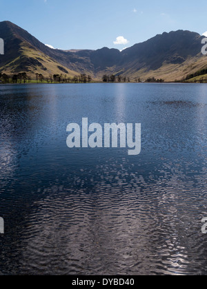 Calm blue waters of Lake Buttermere with Warnscale Bottom and the ...