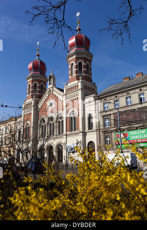 Czech Republic, Plzen, Pilsen, Great Synagogue, interior, stained glass ...