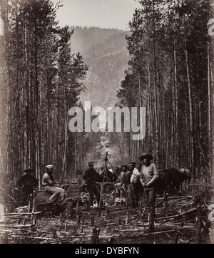 Cutting the boundary line Stock Photo - Alamy