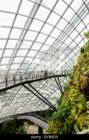 View of the Cloud Walk aerial walkway in the Cloud Forest Dome at ...