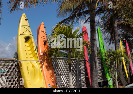 Kayak and Water Board Rental and Palm Trees, Casey Key, Florida, USA ...