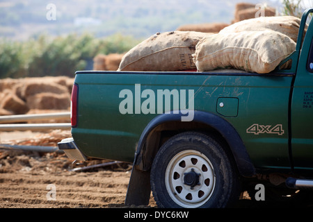 Potatoes sacs, Naxos, Cyclades Islands, Greece Stock Photo - Alamy