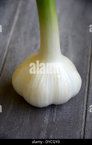 fresh GARLIC knoblauch on white background Stock Photo - Alamy
