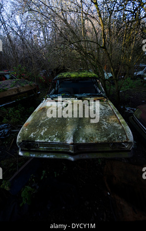 Rusty old car - Vauxhall Viva Stock Photo - Alamy