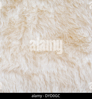 White polar bear fur texture Stock Photo - Alamy