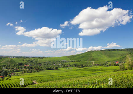 View over the vineyards of Rotenberg towards the Sepulchral Chapel ...