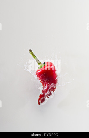 chili pepper splash Stock Photo - Alamy