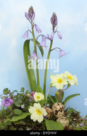 Spring yellow bird with blue eggs in natural wicker basket Stock Photo ...