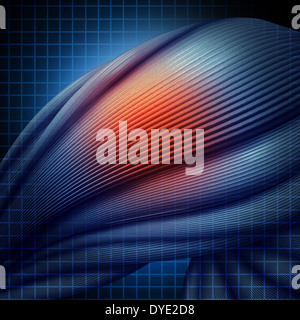 Human Muscle Anatomy For medical concept 3D Illustration Stock Photo ...