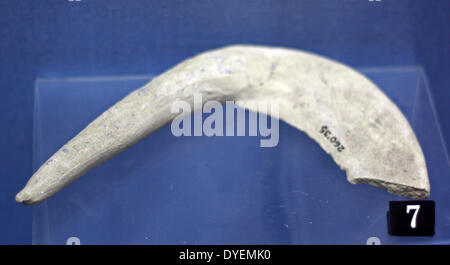 clay sickle for reaping crops. Sumerian Ubaid culture, from Ur in Iraq ...