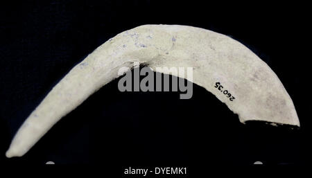 clay sickle for reaping crops. Sumerian Ubaid culture, from Ur in Iraq ...