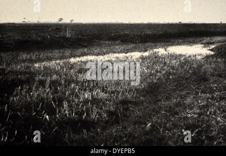 Italian marshlands converted to agricultural land in Fascist Italy 1928 ...