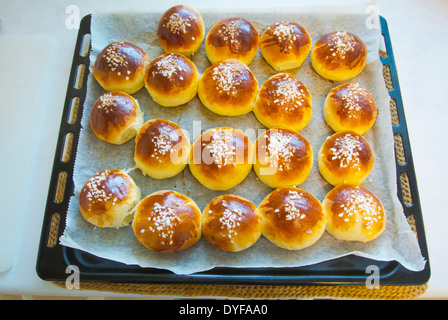 Pulla, sweet rolls, just out of the oven, Finland, Europe Stock Photo ...