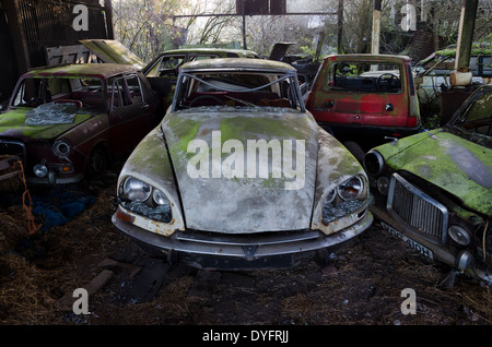 Abandoned Citroen DS2 Stock Photo - Alamy