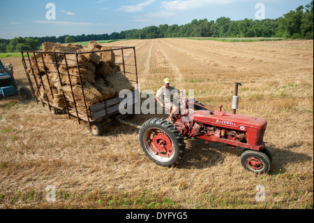 A farm tractor hauling a grain wagon during harvest time. The wagon ...