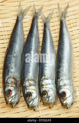 Grilled whole dried sardines Stock Photo - Alamy