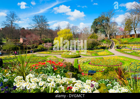 The Dingle in spring, a garden within The Quarry, Shrewsbury ...