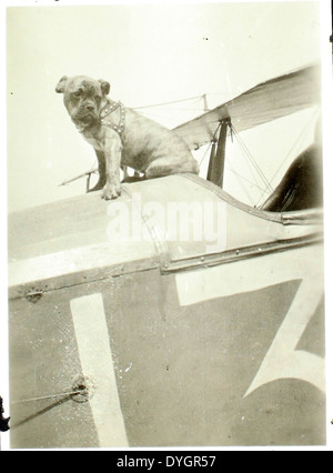 This photo is part of the Theodore (TP) Hall Collection, which ...