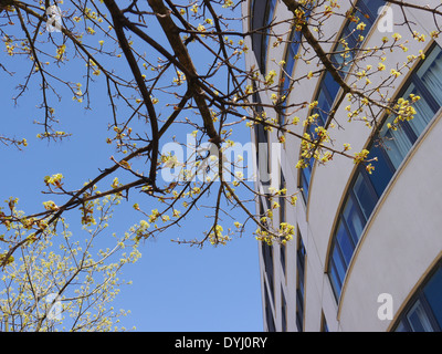 Partial view of Citygate office complex, St. James' Boulevard ...