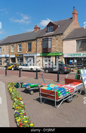 Lanchester, County Durham, GB, United Kingdom, England, N 54 48' 35 ...