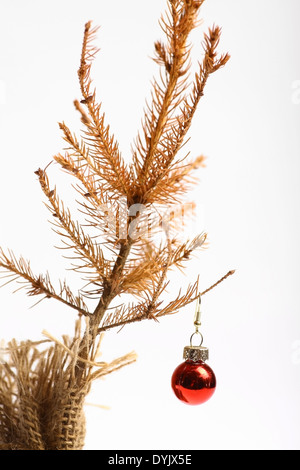 Dead Christmas tree Stock Photo - Alamy